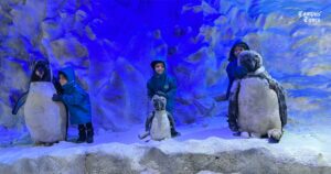 There's a new Snow Park in Pune City ️ and its not at Imagica!